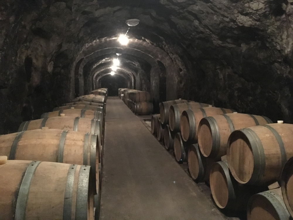 A Primer on Investing in Wine - Thomas Noel Collister Jackson